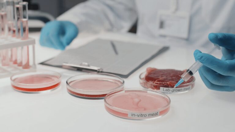 What Is The Number-One Cause Of Spoiled Meat? Explained - Optimise Diet